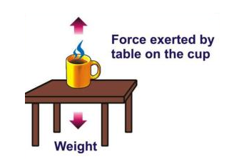 Revision Notes for Science Chapter 9 - Force and laws of motion (Class ...