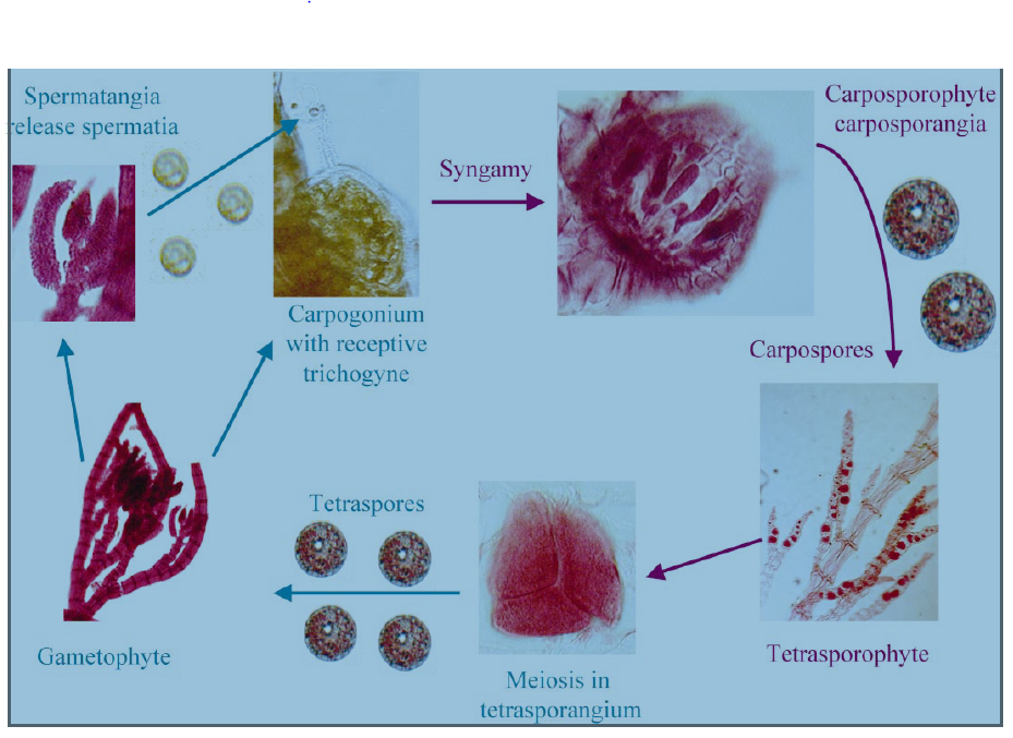 Please answer the attached question. Please ...