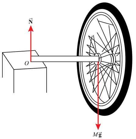 A bicycle wheel spinning in a vertical plane can be supported from on ...