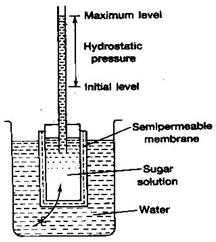 Expressing Concentration of Solutions - Study Material for IIT JEE | askIITians
