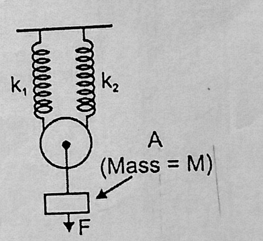 Mass M is displaced by a vertical distance x ` from its equilibrium p ...