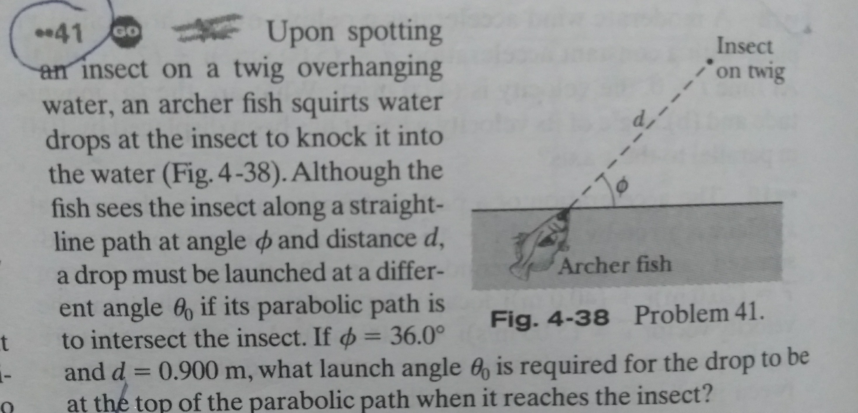 Upon spotting an insect on a twig overhanging water an Archer fish sq ...