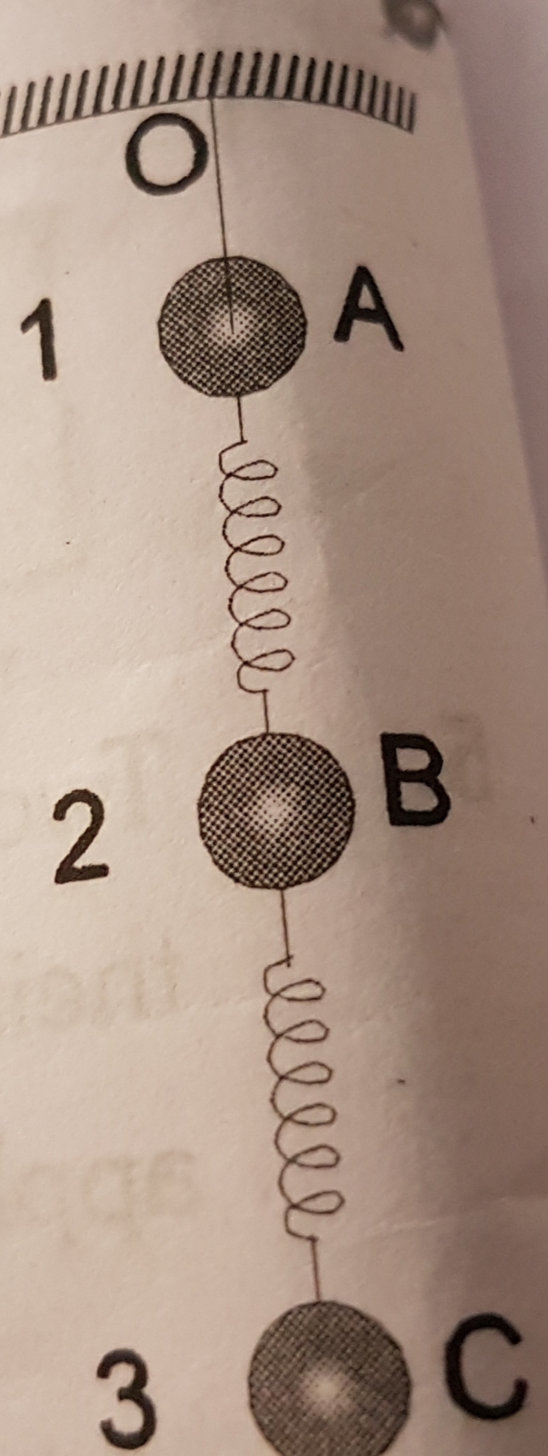 Three identical balls 1,2,3 are suspended on springs one below the ot ...