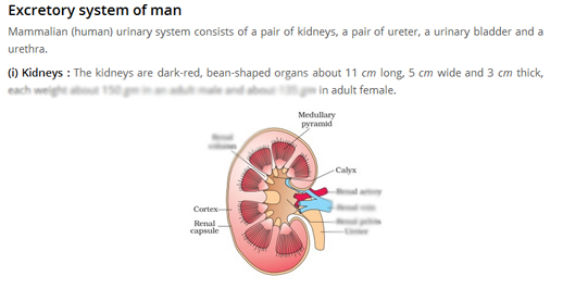 Modes Of Excretion Excretory Products And Their Elimination Part 1